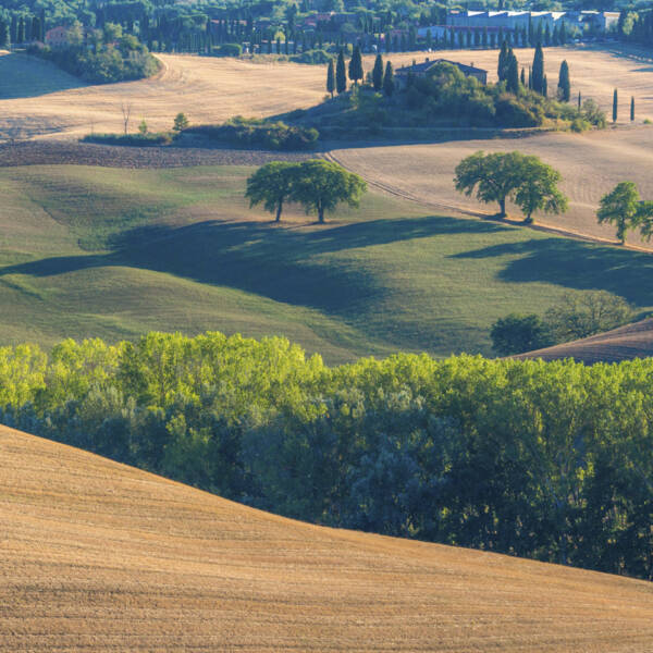 Allora - Cortina Leathers