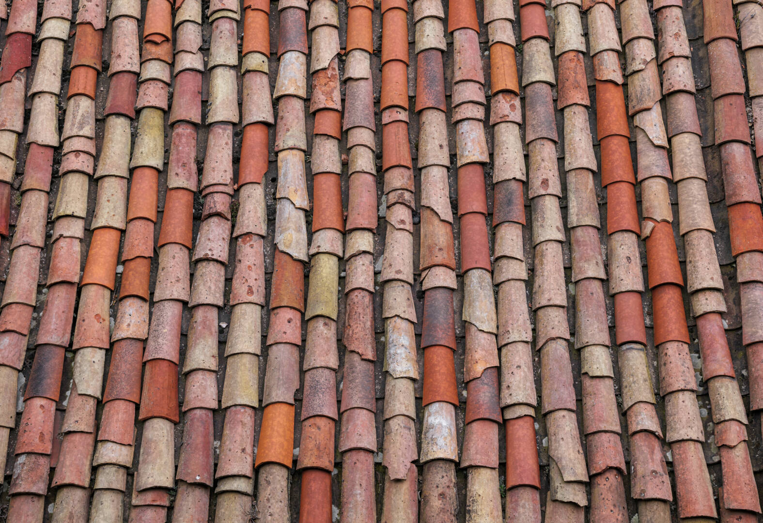 Sacred Clay - Cortina Leathers